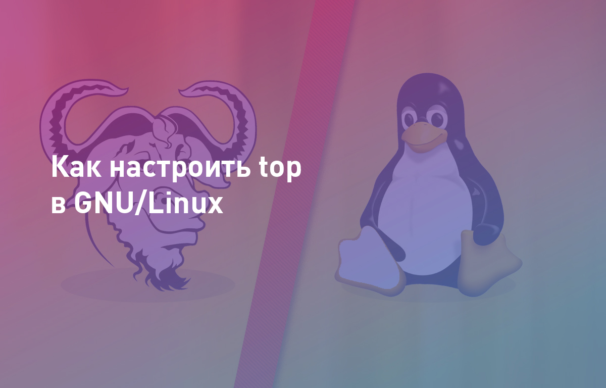 Как настроить команду top в Linux | Cloud4Y