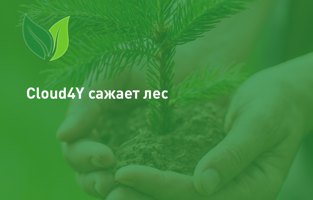Cloud4Y сажает лес | Cloud4Y
